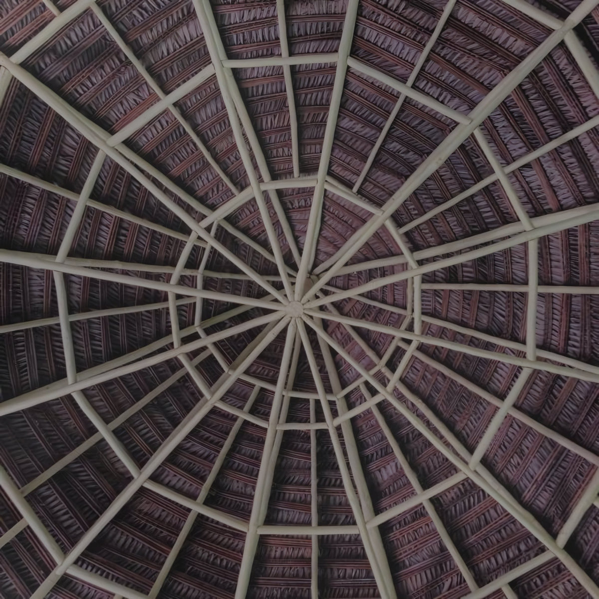 Bundles – Sacred Body Rituals